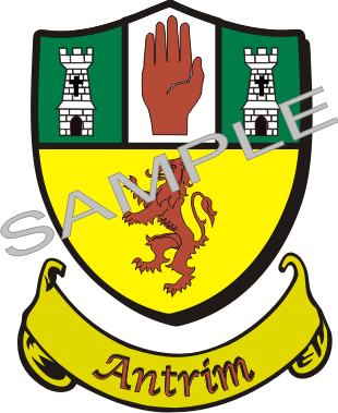 View Your County Coat of Arms - all 32 Irish Counties